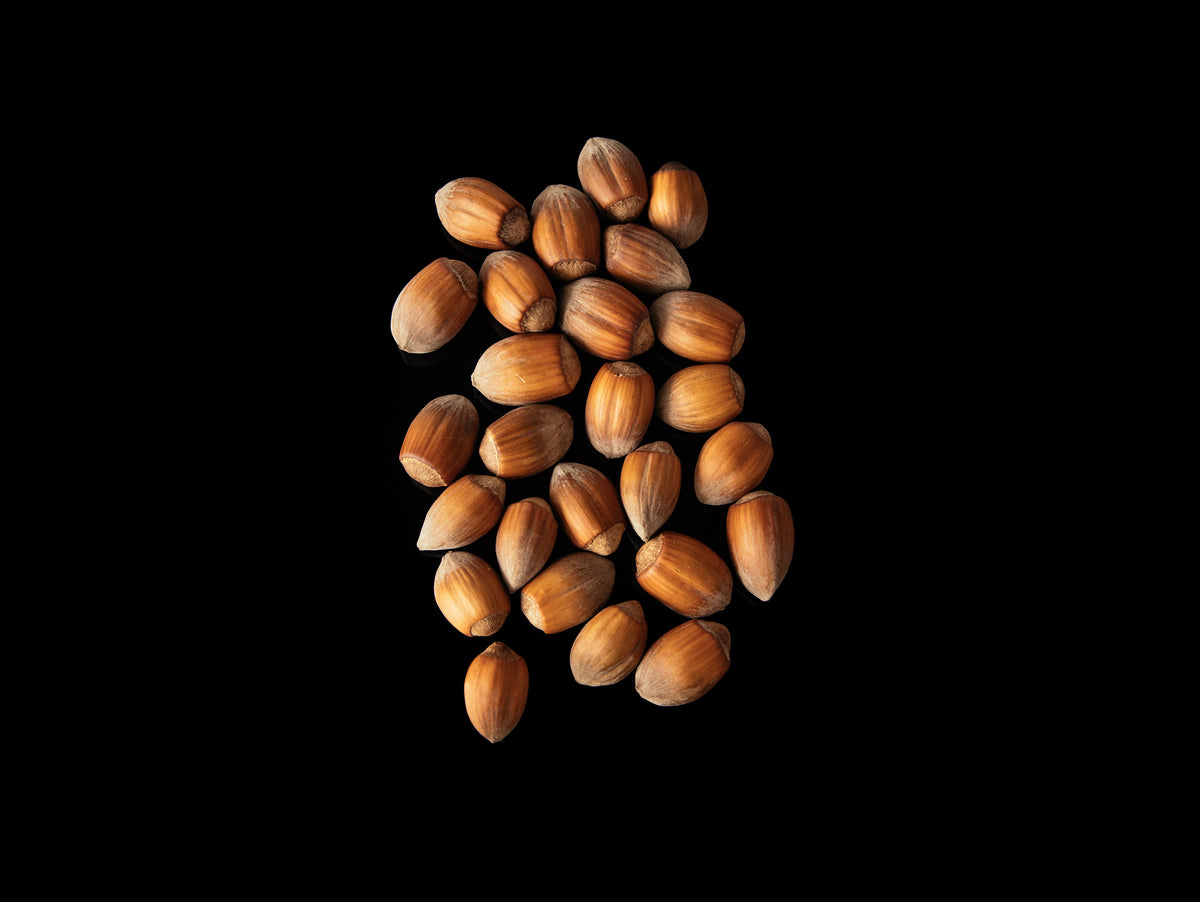 Cobnut Oil – Food and Forest